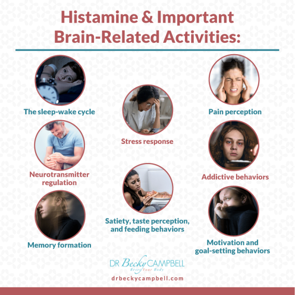 How Histamine Intolerance Affects Your Brain - Dr. Becky Campbell