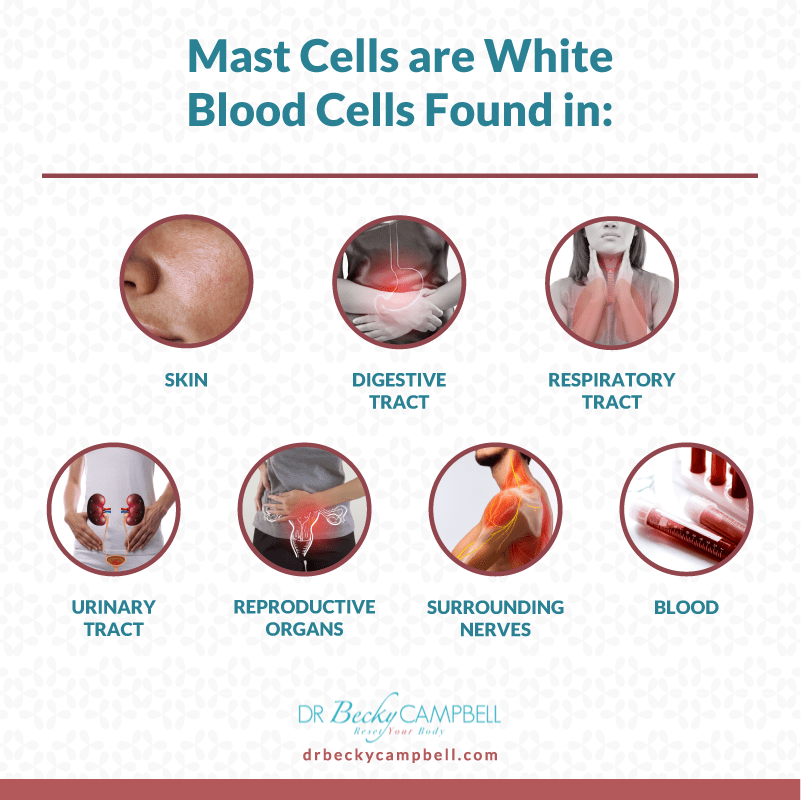 Mold, Histamine Intolerance, and Mast Cell Activation Syndrome ...