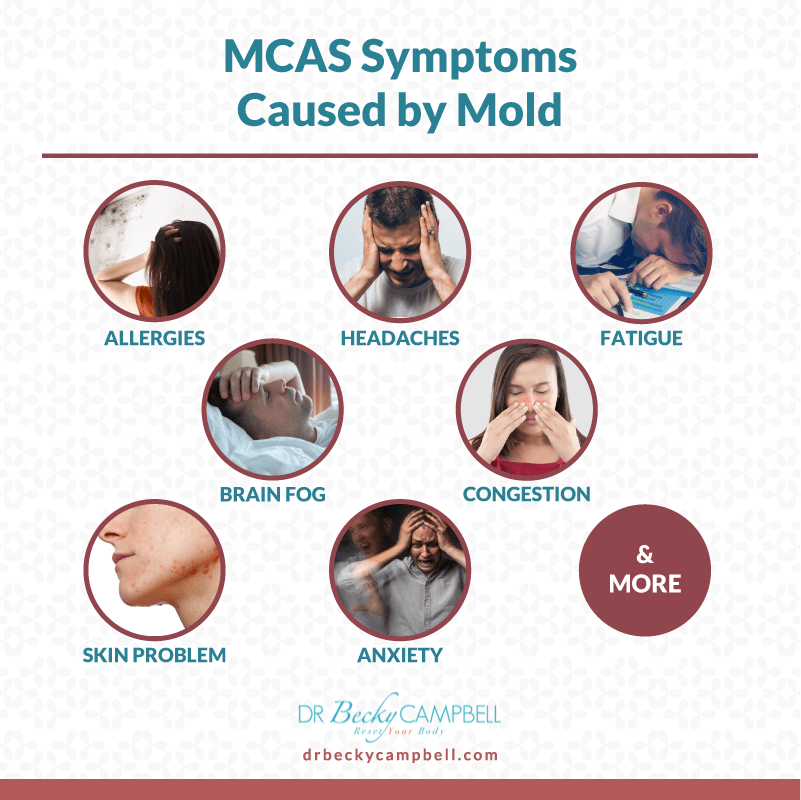 Mold, Histamine Intolerance, and Mast Cell Activation Syndrome ...