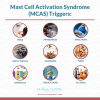 Mold, Histamine Intolerance, and Mast Cell Activation Syndrome ...