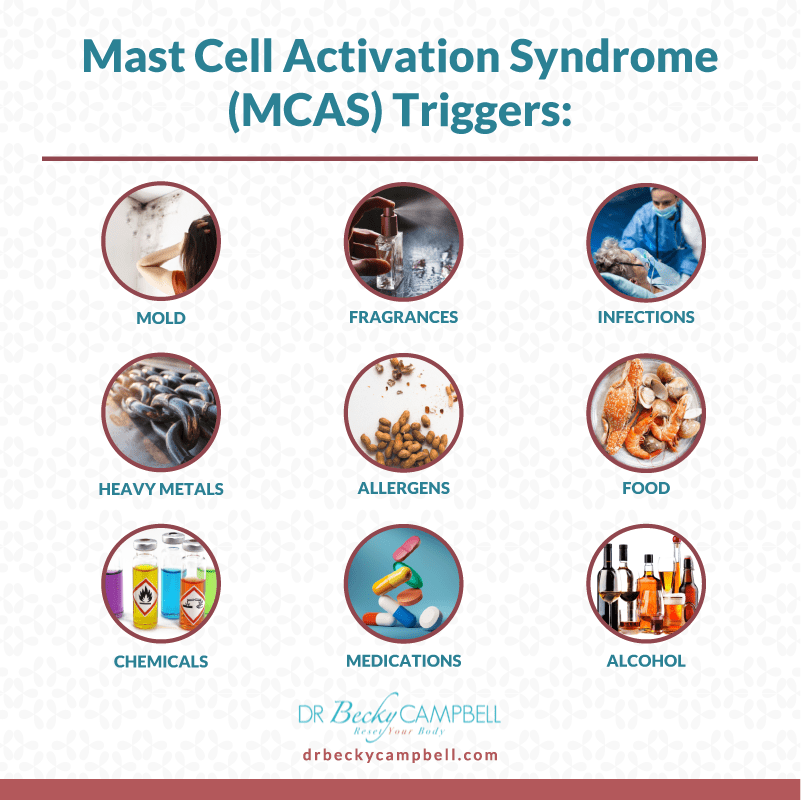 Mold, Histamine Intolerance, and Mast Cell Activation Syndrome ...