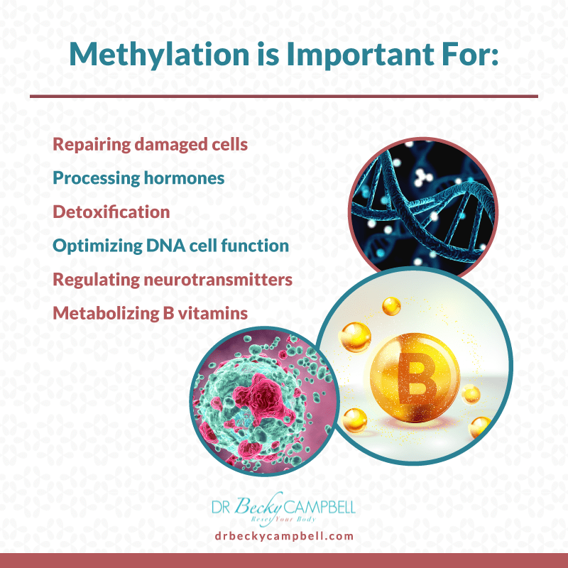 MTHFR and Histamine Intolerance: What’s the Connection? - Dr. Becky ...