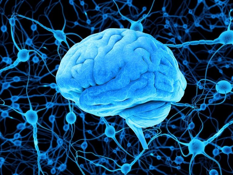 How Histamine Intolerance Affects Your Brain - Dr Becky Campbell