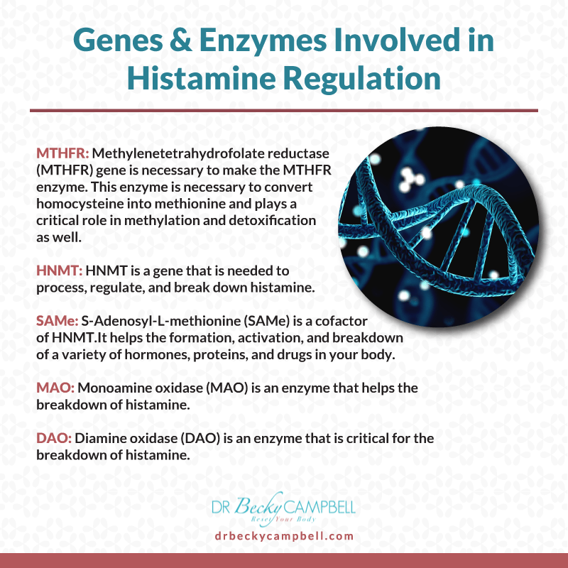 MTHFR and Histamine Intolerance: What’s the Connection? - Dr. Becky Campbell