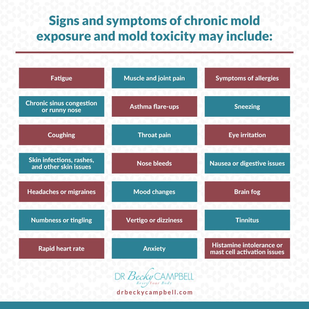 Mold May Be Driving Your POTS: The Connection Between POTS, Mold ...