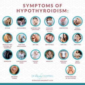 Your Thyroid and Mast Cells: The Connection - Dr. Becky Campbell