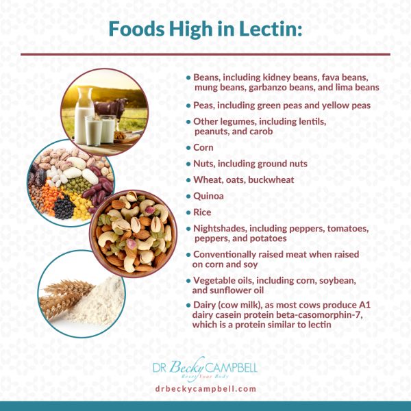 Lectins and Histamine Intolerance: The Answer to Your Symptoms - Dr ...