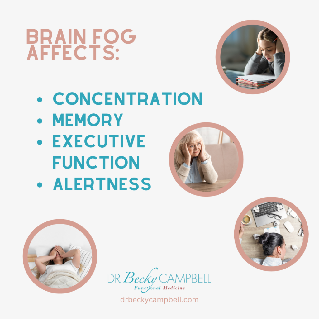 Brain Fog: Mold’s Surprising Impact on Cognitive Function - Dr. Becky ...