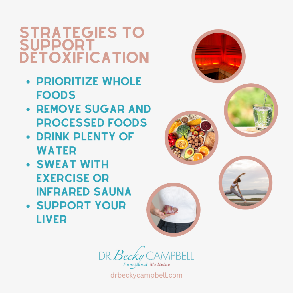 Brain Fog: Mold’s Surprising Impact on Cognitive Function - Dr. Becky Campbell