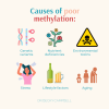 Why Should You Care About Methylation and B Vitamins? - Dr. Becky Campbell