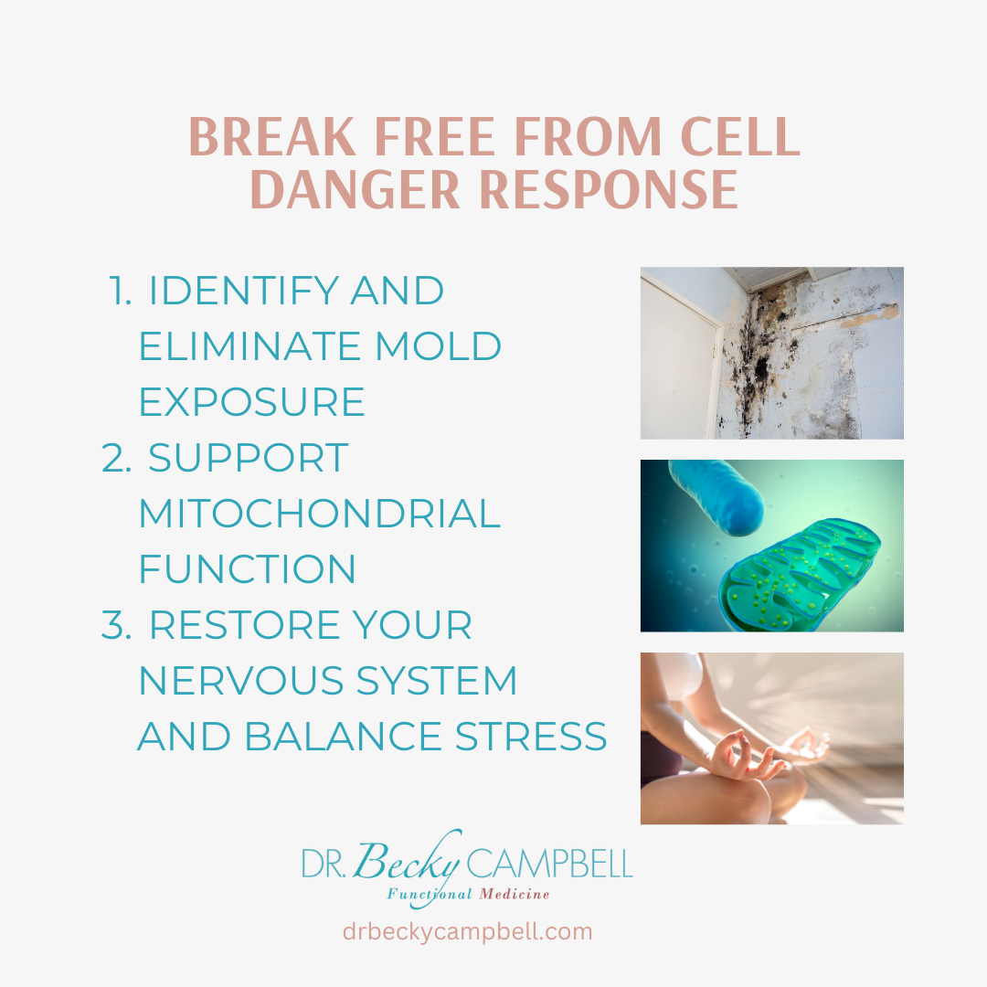 How Mold Traps Your Body in Danger: The Secrets of Cell Danger Response ...